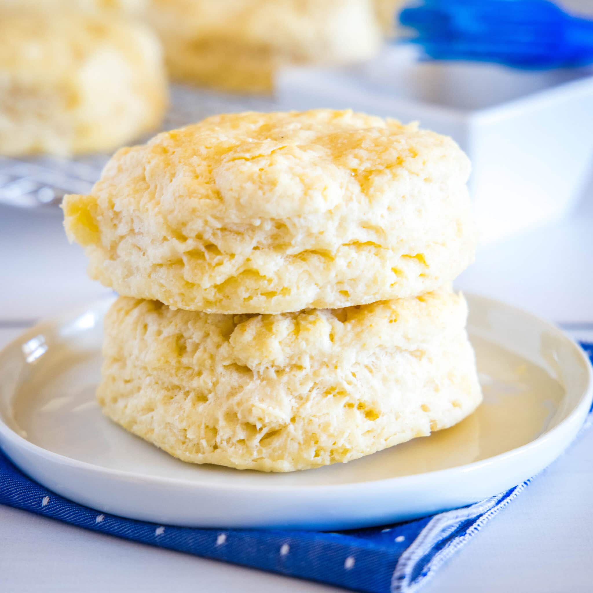 Homemade Buttermilk Biscuits - Dinners, Dishes, and Desserts