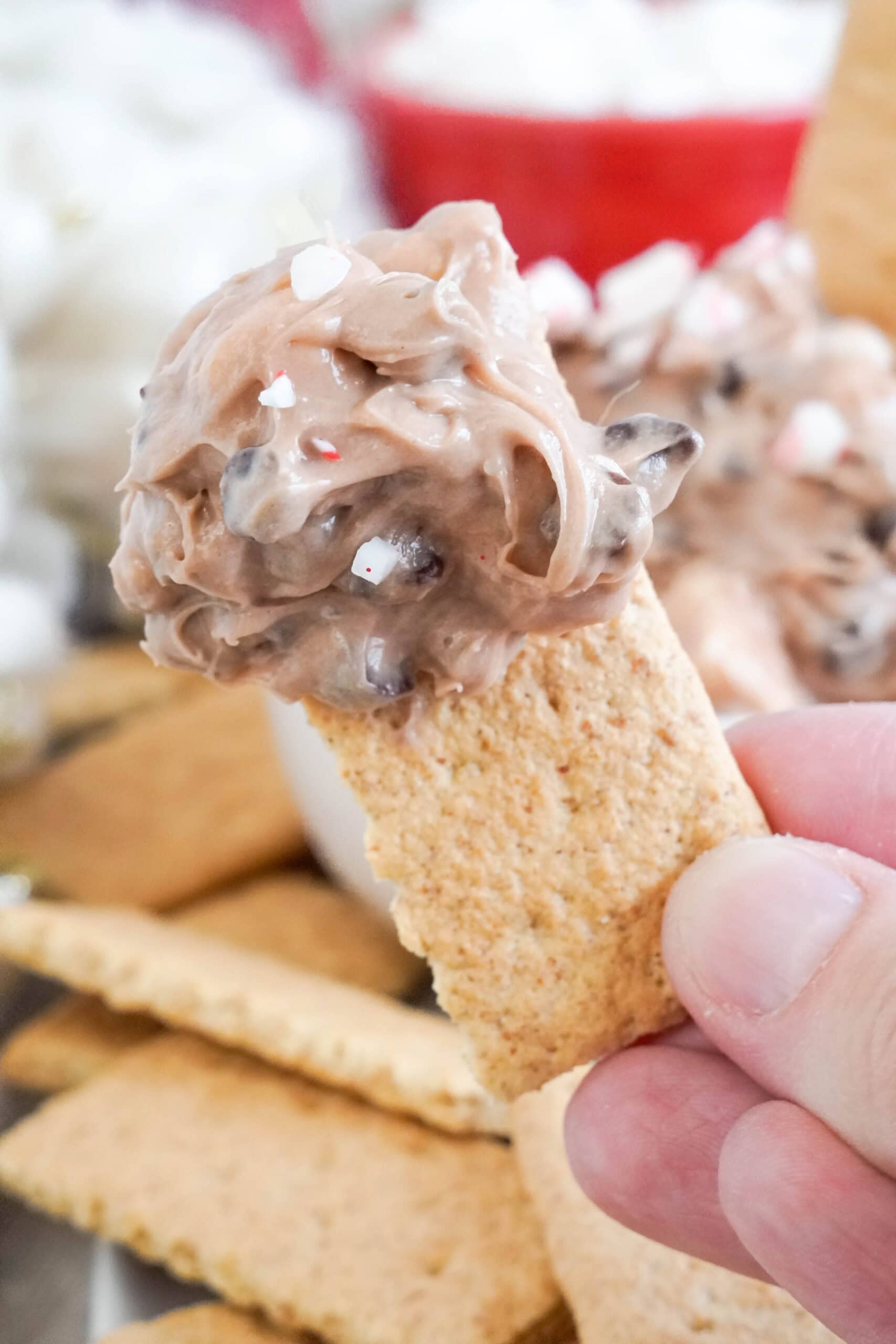 Hot Chocolate Dip - Dinners, Dishes, and Desserts