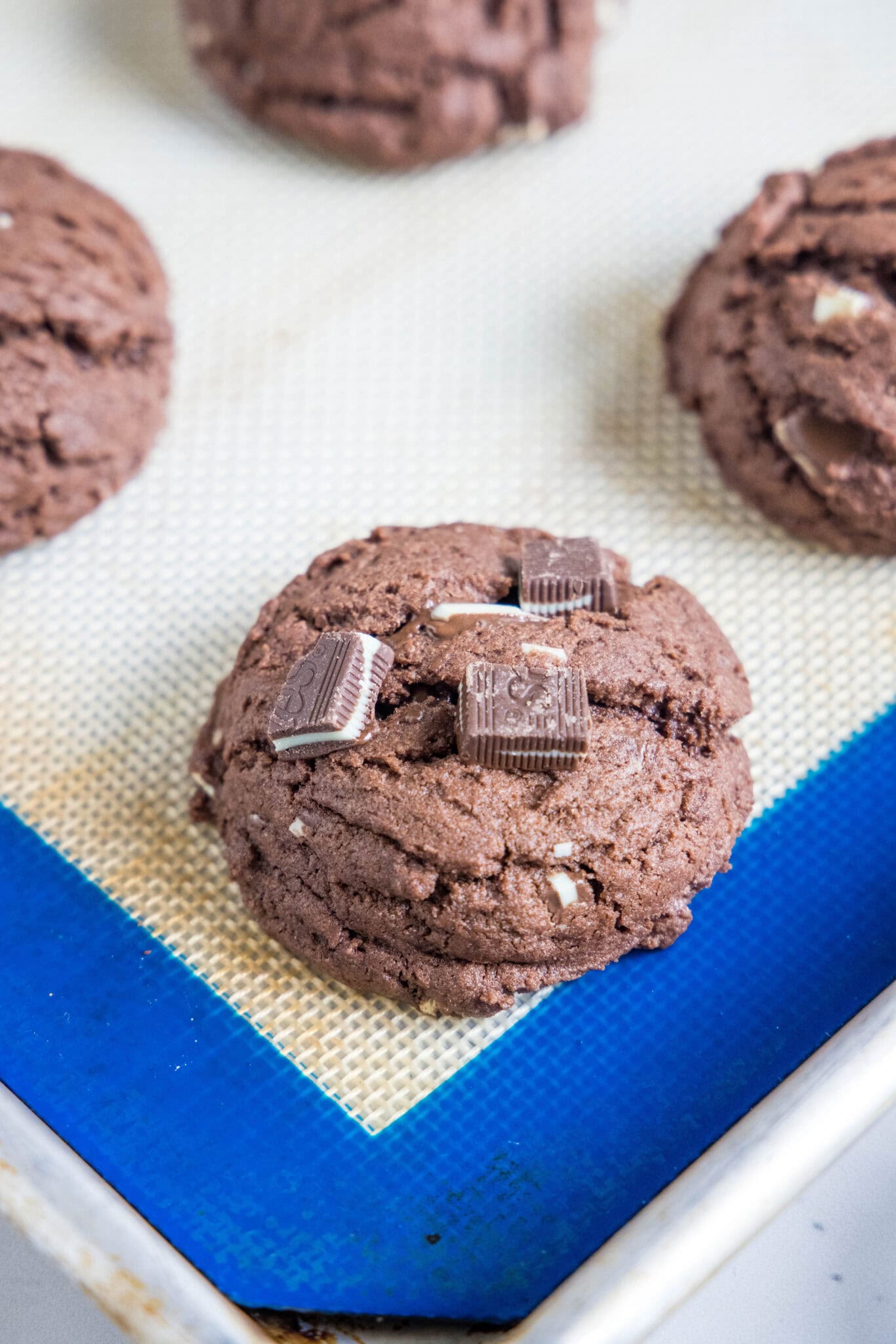 Mint Chocolate Pudding Cookies | Dinners, Dishes & Desserts