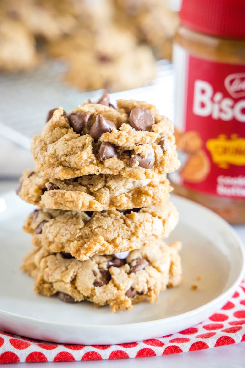 Biscoff Chocolate Chip Cookie Recipe