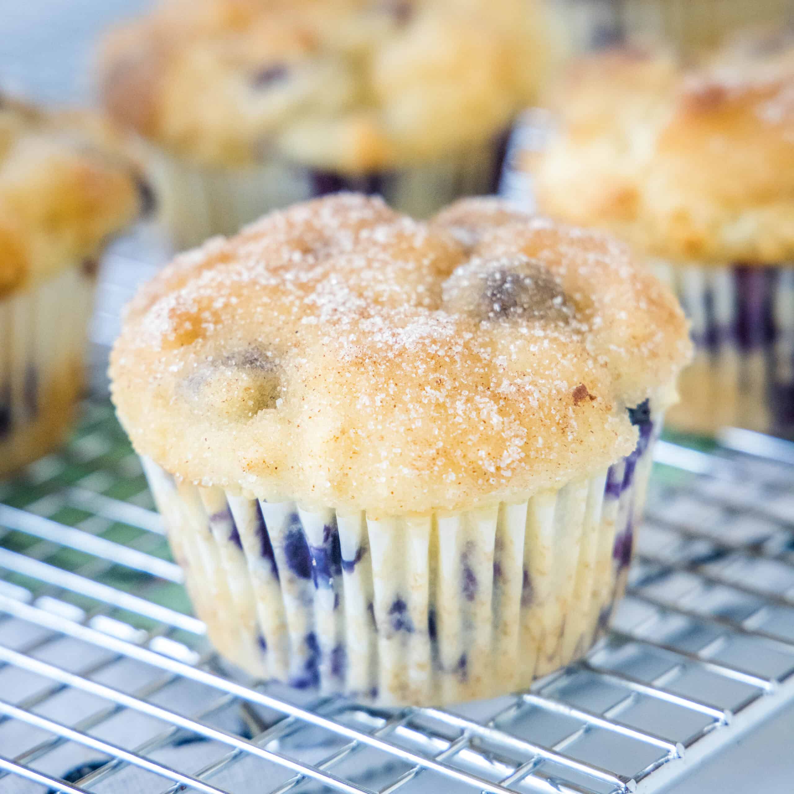Easy Blueberry Muffins