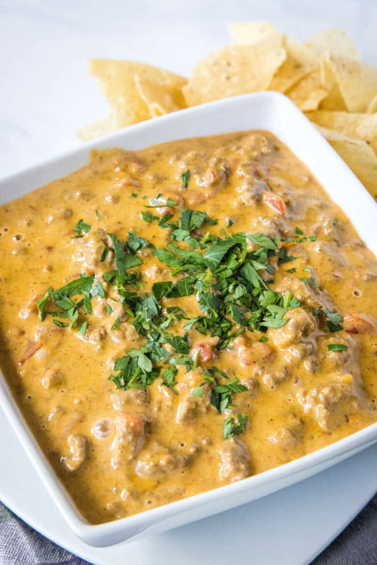 Rotel Cheese Dip